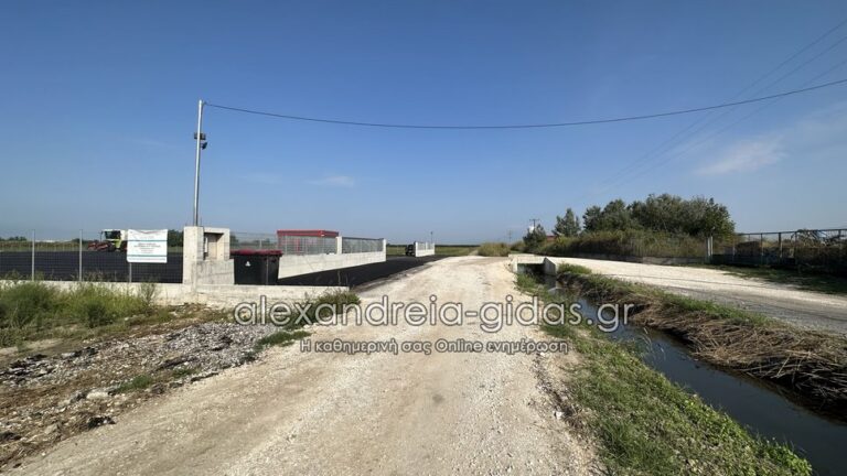 Νέες εγκαταστάσεις στην Αλεξάνδρεια για την “Αναστασιάδης Θ. Ευάγγελος ...